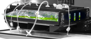 CELL-tainer technology 【 BIONET